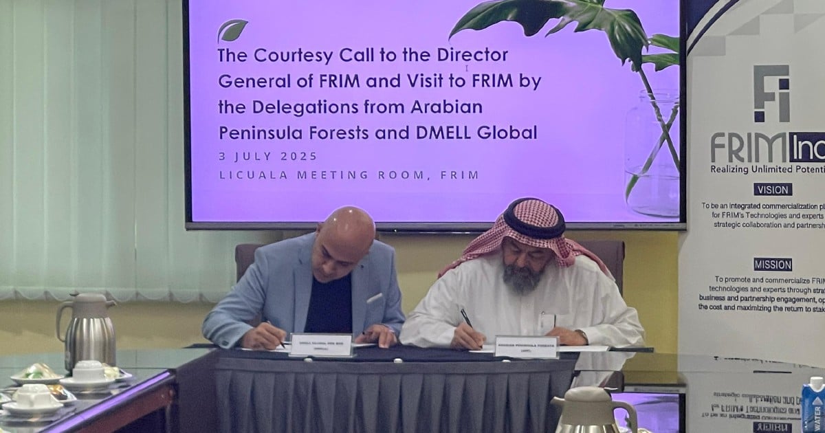 FRIM Inc to supply 8 million trees for Saudi Arabia’s reforestation ...